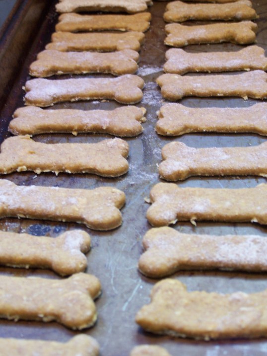 How to make dog cookies for Fido – couldn’t be easier! – ARTFOODHOME.COM