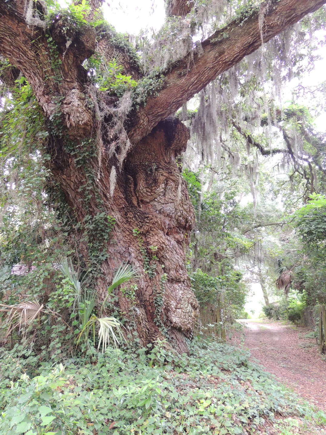 Day trip… ROCKVILLE, SC – ARTFOODHOME.COM