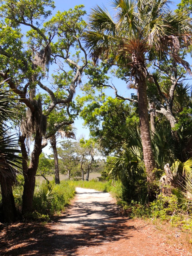 Botany Bay Trail… – ARTFOODHOME.COM