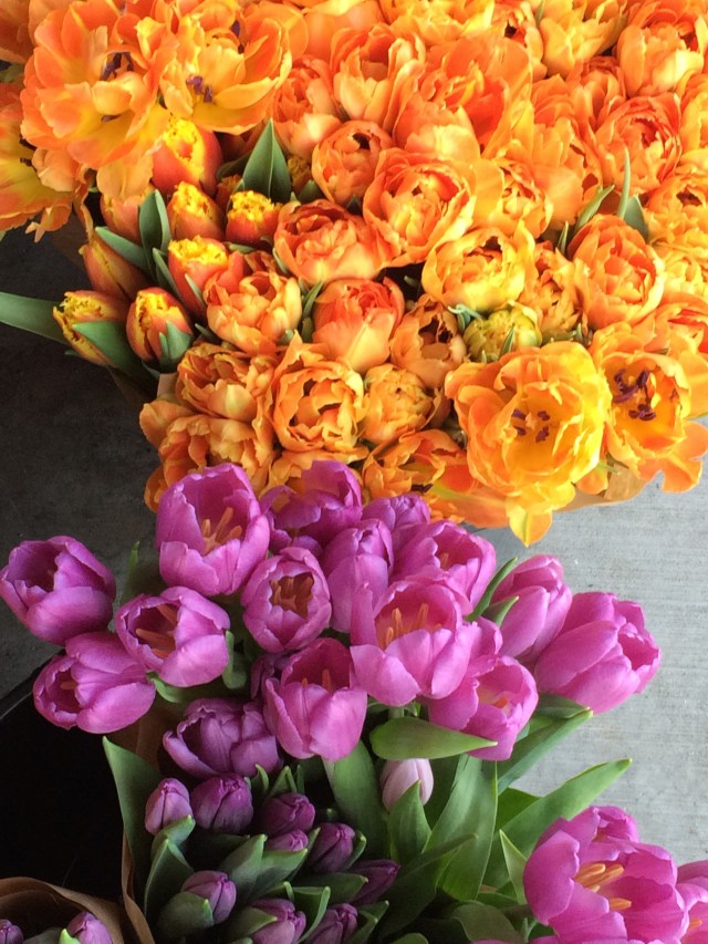 Grab a bunch! – ARTFOODHOME.COM