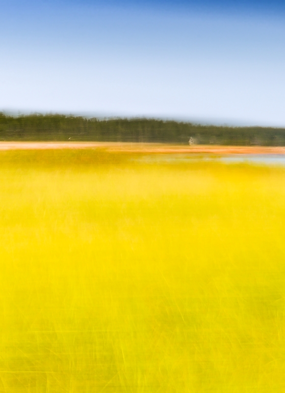 Featured Artist: George Shattuck! – ARTFOODHOME.COM