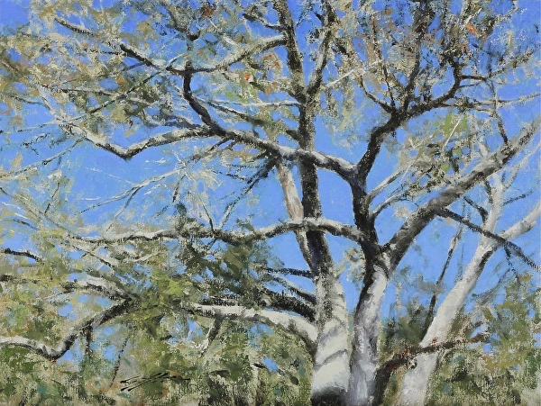 Featured Artist: Matthew J. Cutter! – ARTFOODHOME.COM