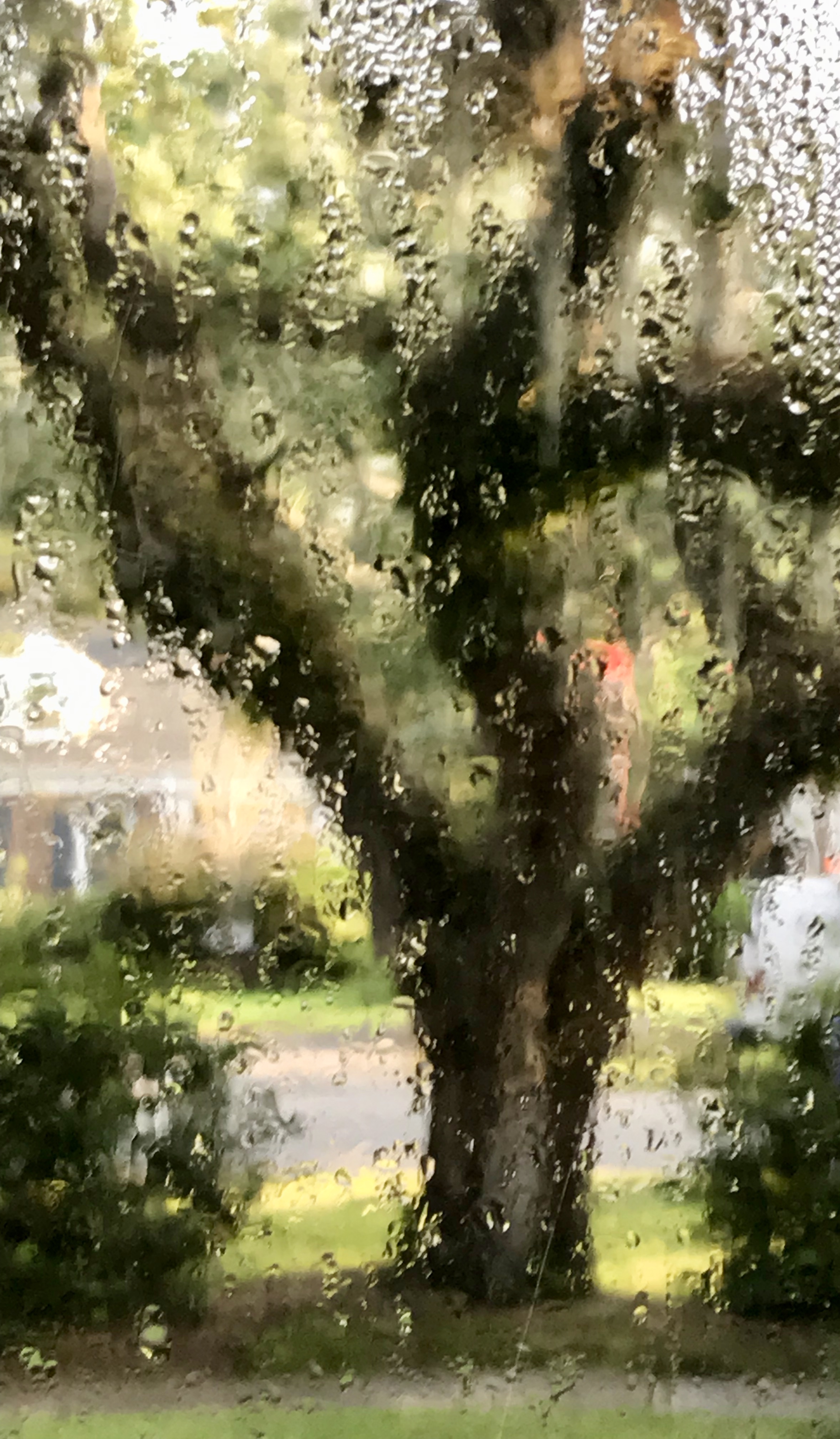 Cable service restored – ARTFOODHOME.COM