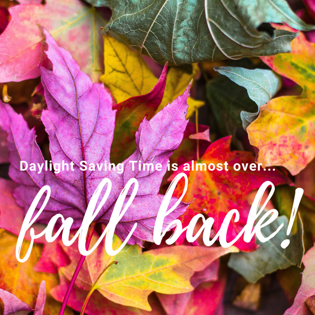Fall Back! – ARTFOODHOME.COM