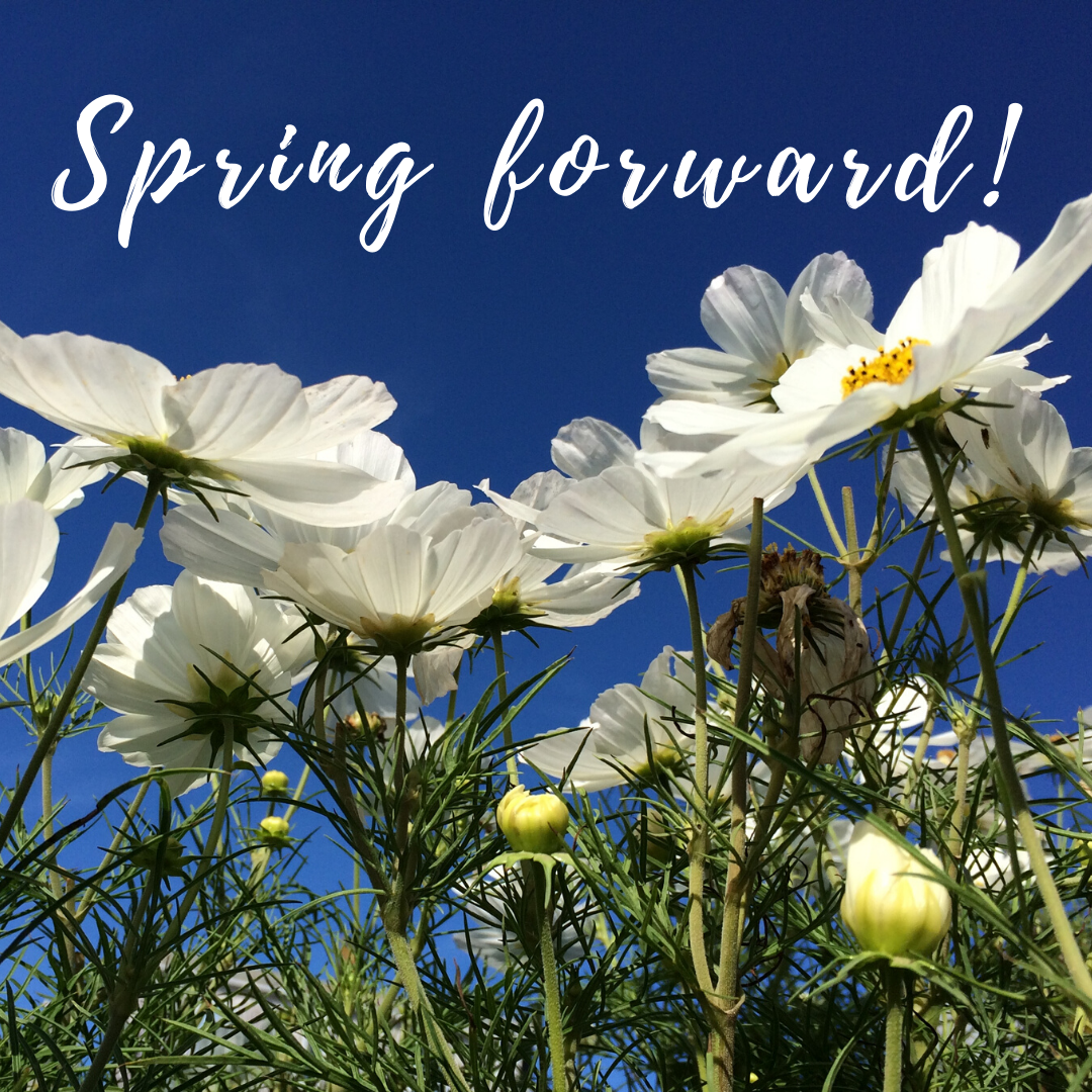 Spring Forward Tonight! – ARTFOODHOME.COM