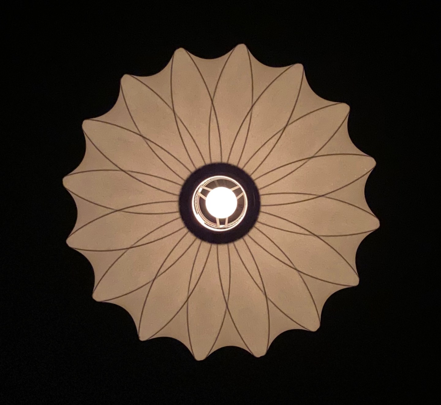 Two Amazing Light Fixtures! – ARTFOODHOME.COM