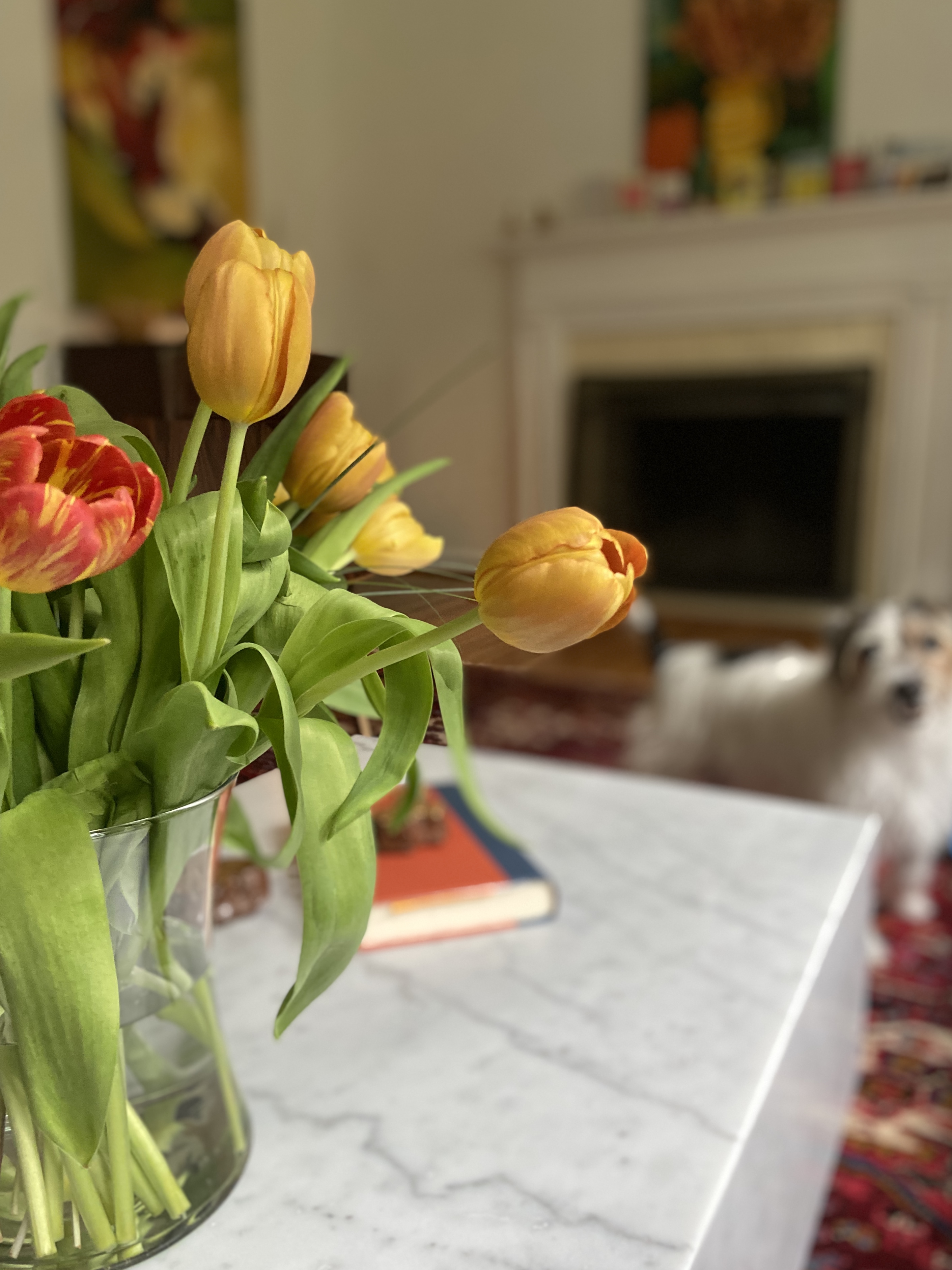 Happy 2021!!!! – ARTFOODHOME.COM