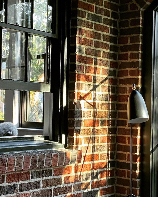 The Grasshopper Lamp in Light with Shadows! – ARTFOODHOME.COM