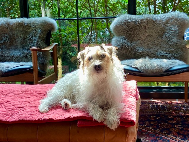 The Laurel Cottage Plan by C. Brandon Ingram! – ARTFOODHOME.COM