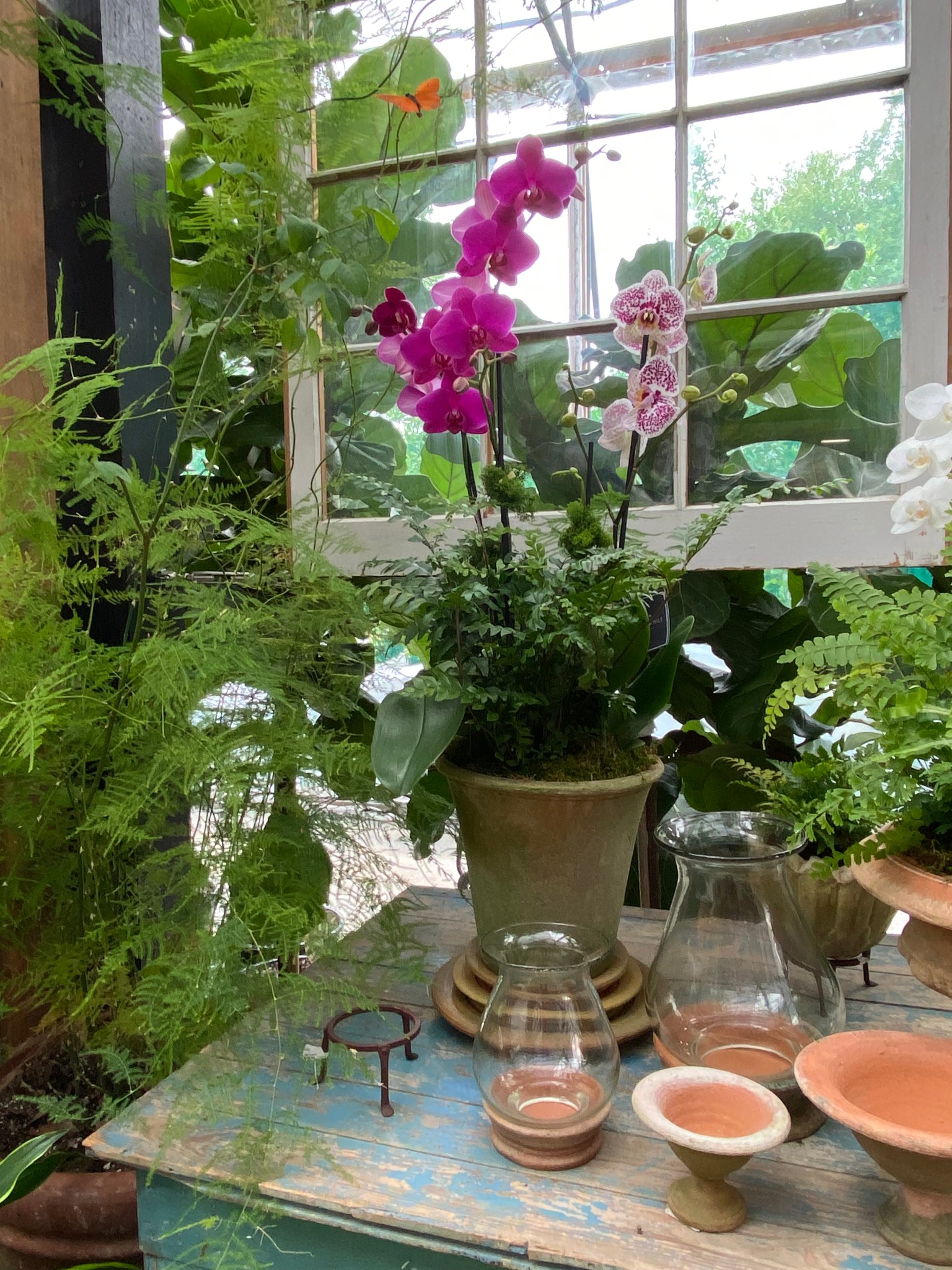 Abide-A-While: Stunning vignettes of plants and flowers! – ARTFOODHOME.COM