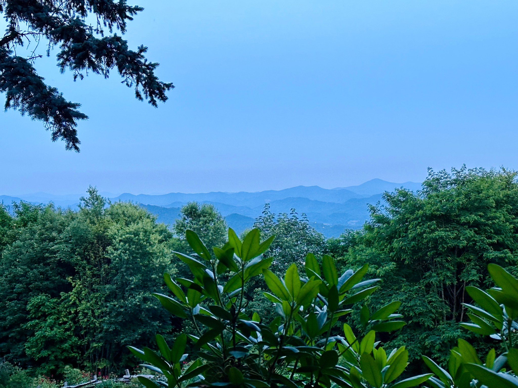 Western North Carolina – Thoughts on Helene… – ARTFOODHOME.COM