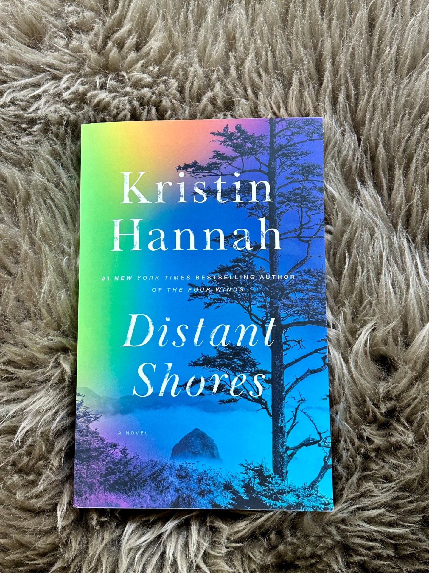 Book Suggestion: Distant Shores by Kristin Hannah! – ARTFOODHOME.COM